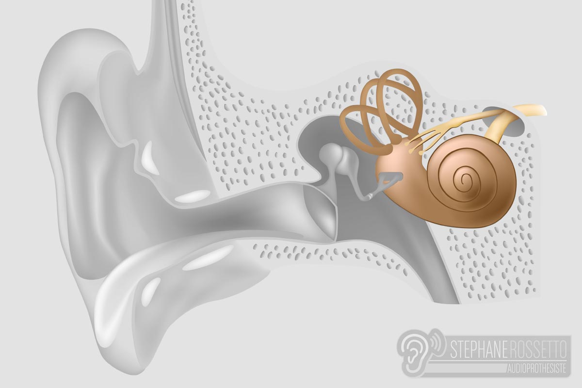 Tout savoir sur la perte auditive | Audioprothésiste Stéphane Rossetto